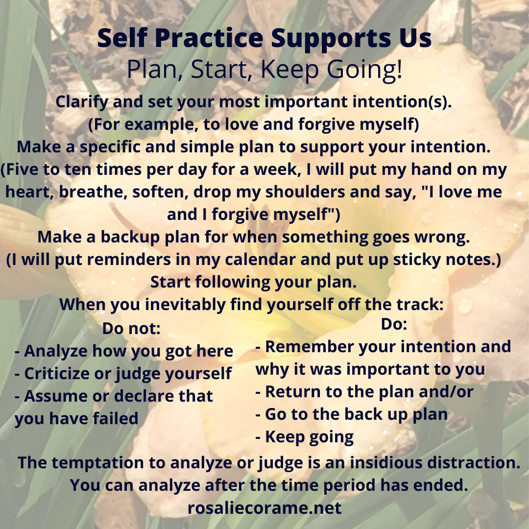Plan, Start, Keep Going! - Somatic Developmental Trauma Healing with ...