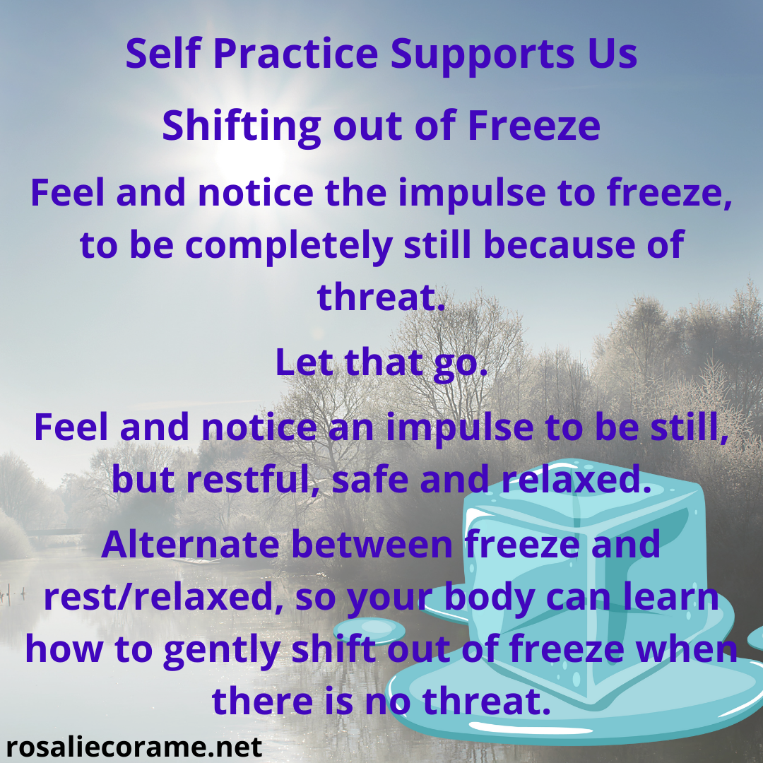Shifting out of Freeze - Embodied Personal and relational Healing with ...