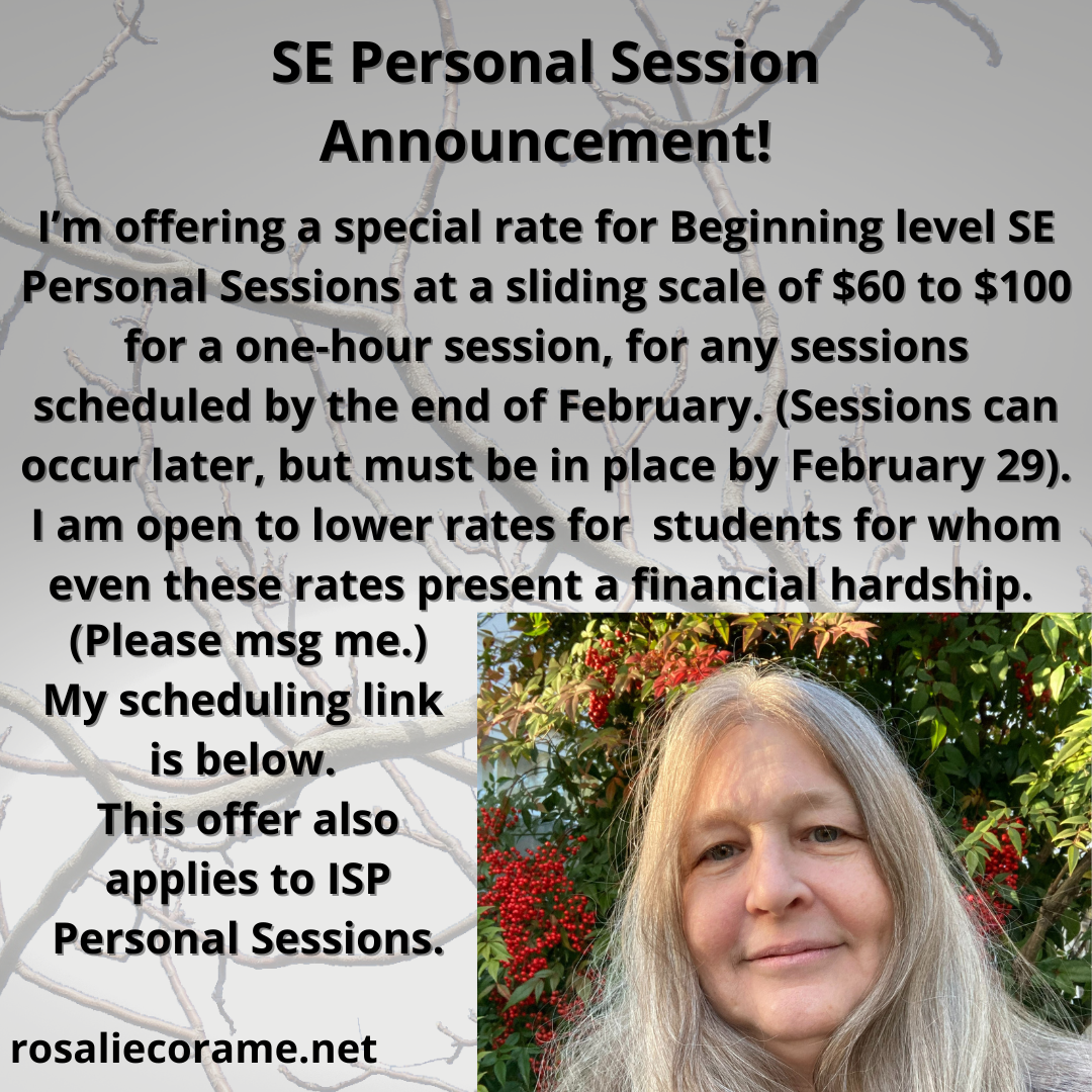 SE Personal Session Announcement - Somatic Developmental Trauma Healing ...