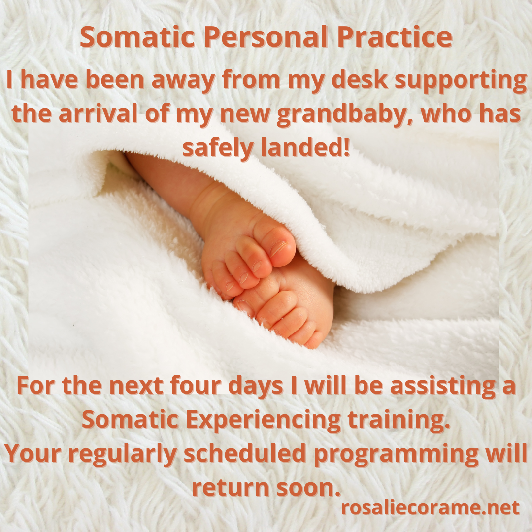 After These Messages… - Somatic Developmental Trauma Healing with Rosalie Corame